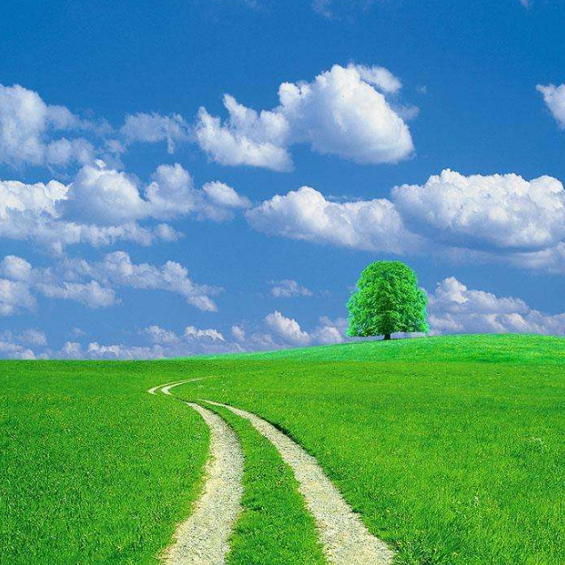 上海城隍庙——御荷轩_中国