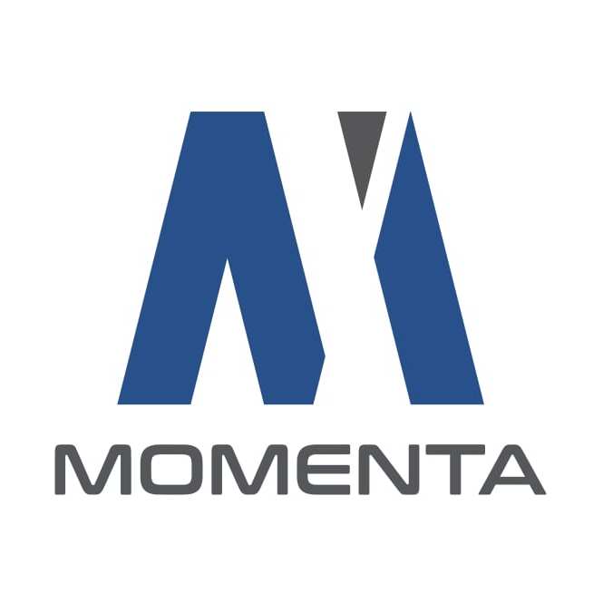 Momenta加入5G自动驾驶联盟，推动L4自动驾驶技术安全落地_相关