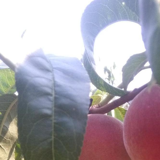 如何正确认识6B4T，生活中哪些适合你_女性_生育_脱御