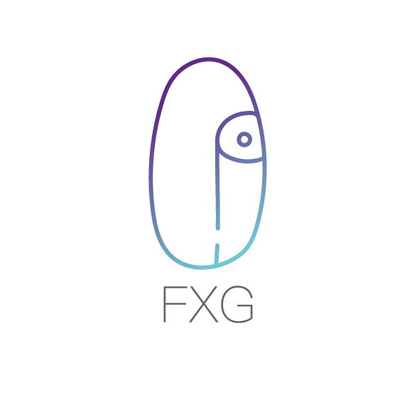 FXG发布6DoF实拍视频技术 光流相机及算法实现VR动态场景拍摄