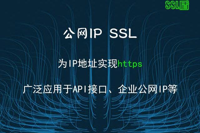IP申请ssl证书教程_文件