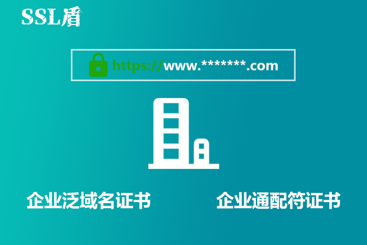 泛域名https证书之Geotrust ov泛域名证书_通配符