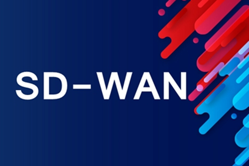 值得关注的10个SD-WAN项目_Versa
