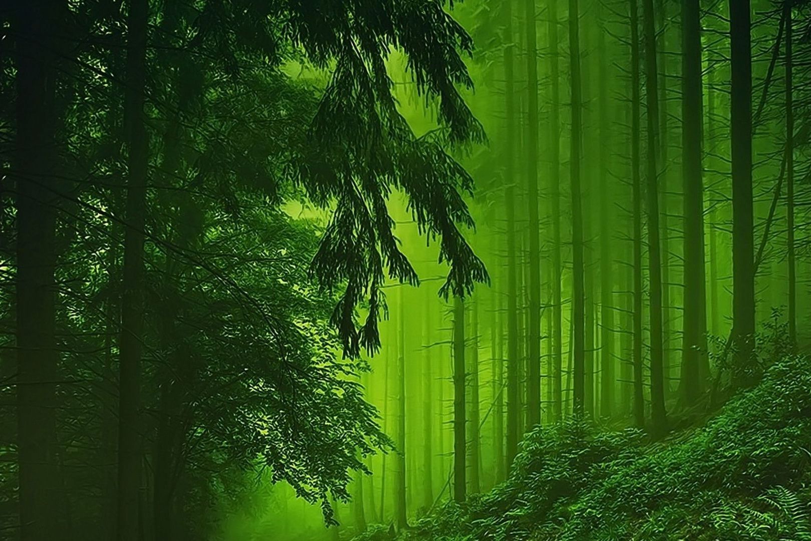 看绿色保护视力是一场骗局?电脑