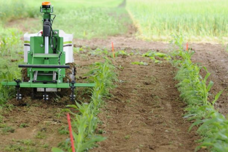 协作型机器人提高农作物产量_Augean