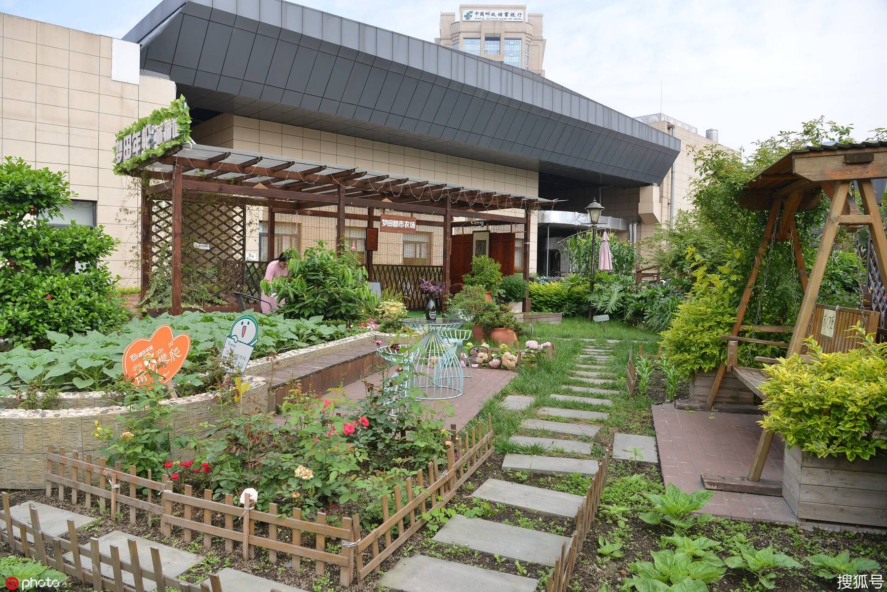 成都一商场楼顶变“空中农场”，一斤蔬菜卖20元-搜狐大视野-搜狐新闻