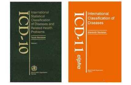 【ICD-11前瞻】ICD-11扩展码应用的探讨-搜狐大视野-搜狐新闻