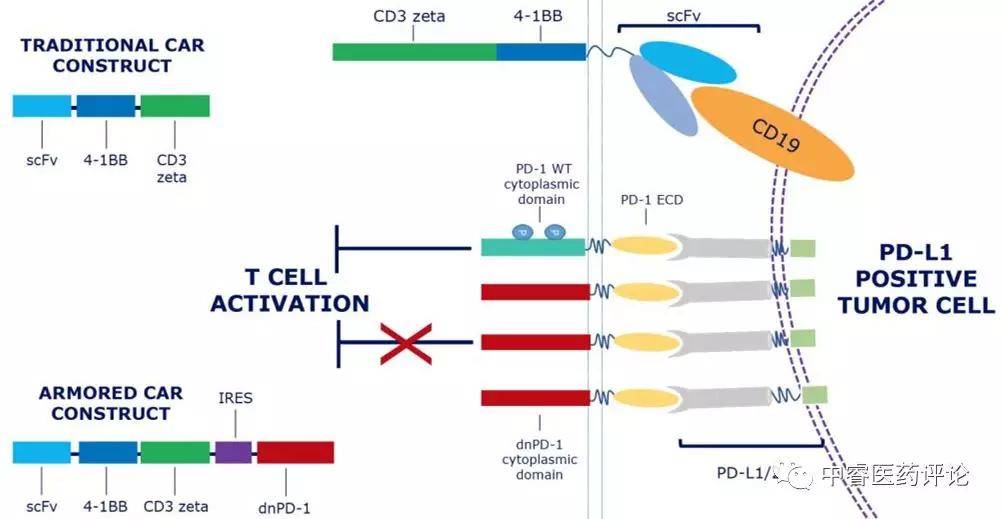 ERK抑制剂接踵而至，Th2通路药物络绎不绝，PD-(L)1适应症持续壮大…-搜狐大视野-搜狐新闻
