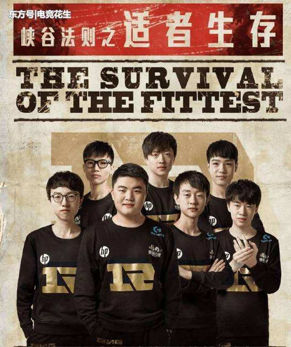 办YM战队赚了多少钱？PDD直播大谈YM战队种种趣事