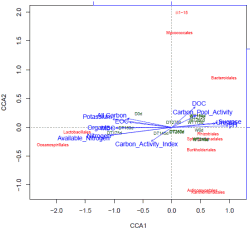 我应该选择CCA还是RDA分析？-搜狐大视野-搜狐新闻