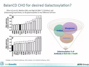新一代CHO细胞补料培养基Feed 4及CHO GS稳定细胞株构建方案-搜狐大视野-搜狐新闻