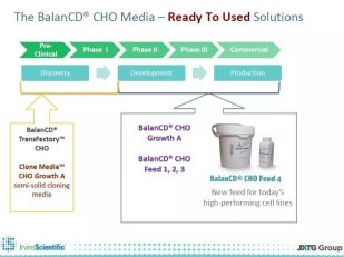 新一代CHO细胞补料培养基Feed 4及CHO GS稳定细胞株构建方案-搜狐大视野-搜狐新闻
