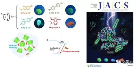 JACS封面: 华东理工田禾院士团队纯有机小分子室温磷光材料研究新进展-搜狐大视野-搜狐新闻