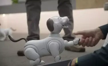 继Pepper机器人后，Sony机器狗aibo拆解报告出炉-搜狐大视野-搜狐新闻