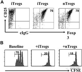 nTreg和iTreg，傻傻分不清楚-搜狐大视野-搜狐新闻