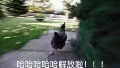 下班了表情包大全-搜狐大视野-搜狐新闻