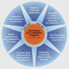 知识点 | 通过CAP PT意味着获得CAP认证吗？-搜狐大视野-搜狐新闻