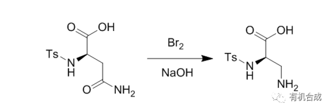 Hofmann重排-搜狐大视野-搜狐新闻
