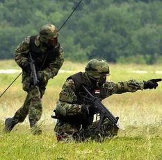 【弹匣您喜欢直的还是弯的】HK公司UMP45 UMP9图集-搜狐大视野-搜狐新闻