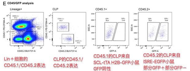 单管16参数方案同时检测CD45.1/2和可控绿色荧光蛋白表达鉴定小鼠造血干细胞和祖细胞-搜狐大视野-搜狐新闻