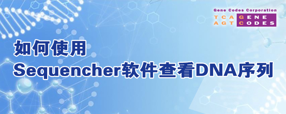 如何使用Sequencher软件查看DNA序列-搜狐大视野-搜狐新闻