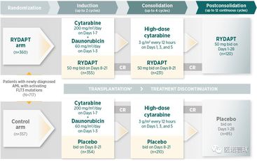 【医诺寰球】白血病：（FLT3阳性AML药物米哚妥林）-搜狐大视野-搜狐新闻