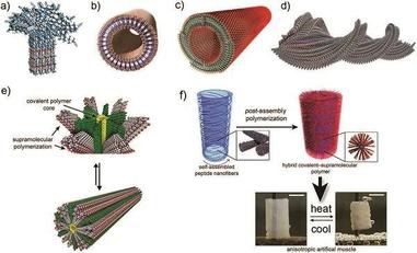 美国西北大学Samuel I. Stupp教授Adv. Mater.综述：超分子能量材料-搜狐大视野-搜狐新闻