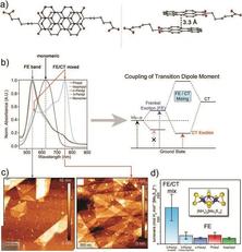 美国西北大学Samuel I. Stupp教授Adv. Mater.综述：超分子能量材料-搜狐大视野-搜狐新闻