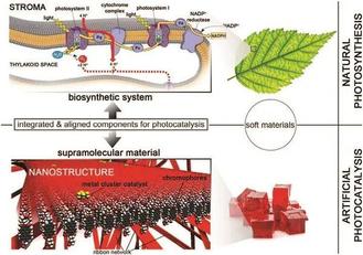 美国西北大学Samuel I. Stupp教授Adv. Mater.综述：超分子能量材料-搜狐大视野-搜狐新闻
