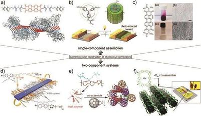 美国西北大学Samuel I. Stupp教授Adv. Mater.综述：超分子能量材料-搜狐大视野-搜狐新闻