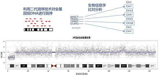 CNV-seq助力我国产前诊断事业实现弯道超车