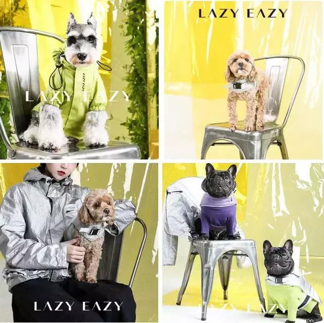 从宠物服饰细分切入，LAZY EAZY打算怎么做宠物潮牌_产品