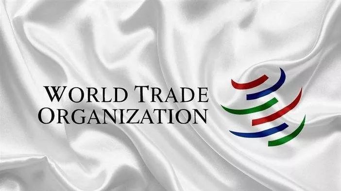 美国开启WTO改革步伐 发展中国家面临挑战_成员国