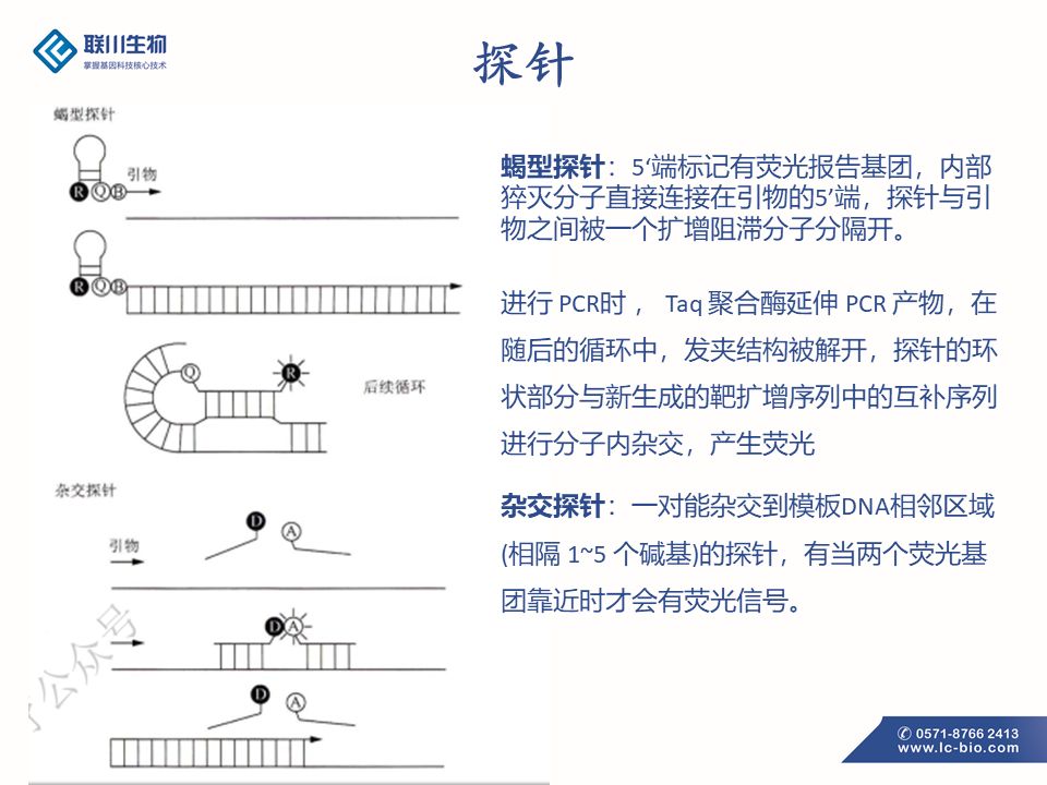 qPCR原理及应用 | 技术专题-搜狐大视野-搜狐新闻