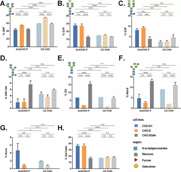 不同CHO细胞系在抗体表达与生物量合成之间的抉择_培养基