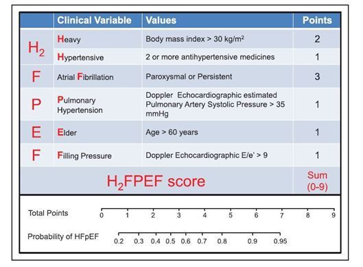 张航：HFpEF和HFrEF的鉴别诊断及治疗异同_Table
