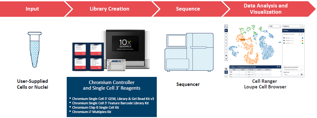 重磅发布 | 晶能生物率先获得10x Genomics认证服务商-搜狐大视野-搜狐新闻