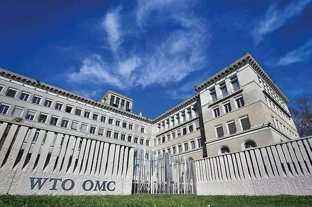 WTO与中国∣WTO改革的内容-搜狐大视野-搜狐新闻