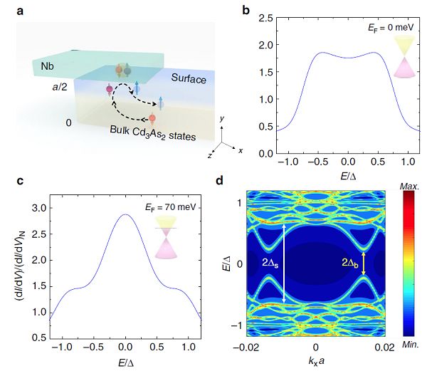 复旦大学Nat. Commun.：Dirac半金属Cd3As2中的邻近诱导表面超导性-搜狐大视野-搜狐新闻