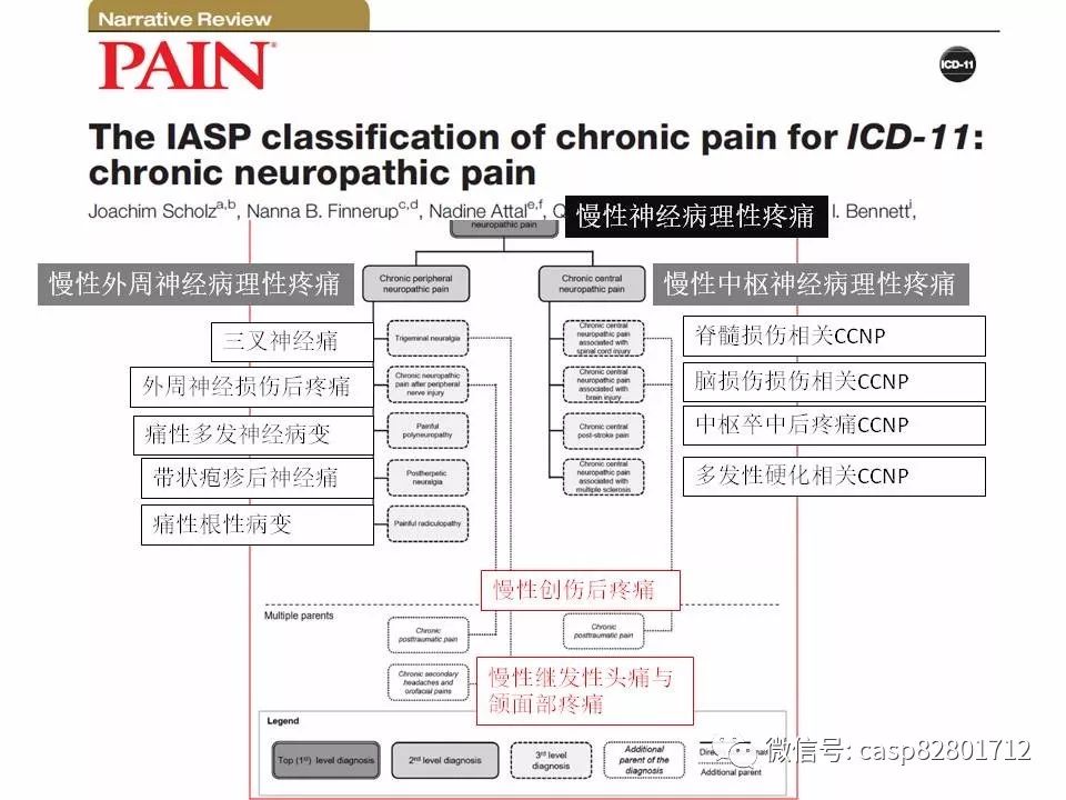 ICD-11慢性疼痛4级诊断分类与临床应用_pain