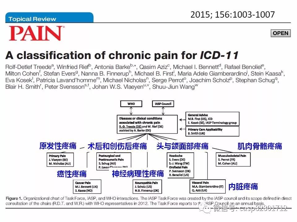 ICD-11慢性疼痛4级诊断分类与临床应用_pain