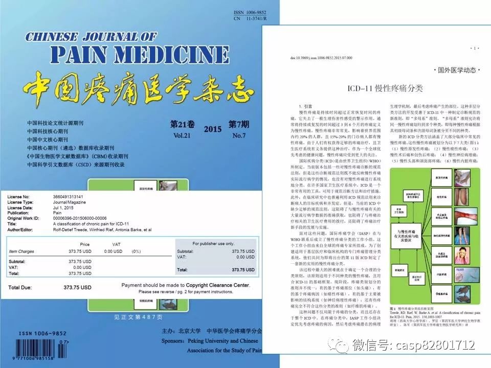 ICD-11慢性疼痛4级诊断分类与临床应用_pain