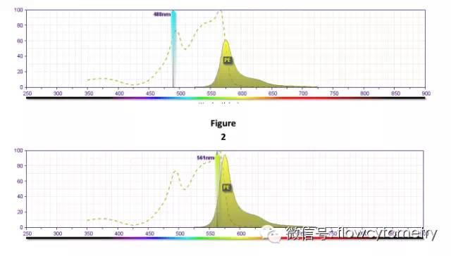 如果不了解GFP、FITC和PE的这些特性，你的流式数据就可能是错的_nm