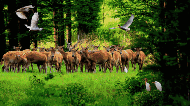 世界环境日，我们能为这个世界做些什么？_联合国