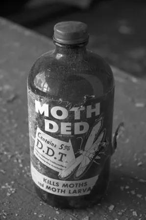 50年前的DDT阴影，让他们患上了反智的奇葩恐惧症_化学