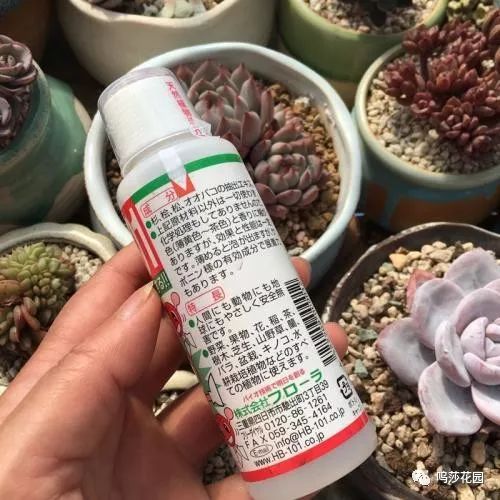 作死一写：帮你还原真实的HB101_日本