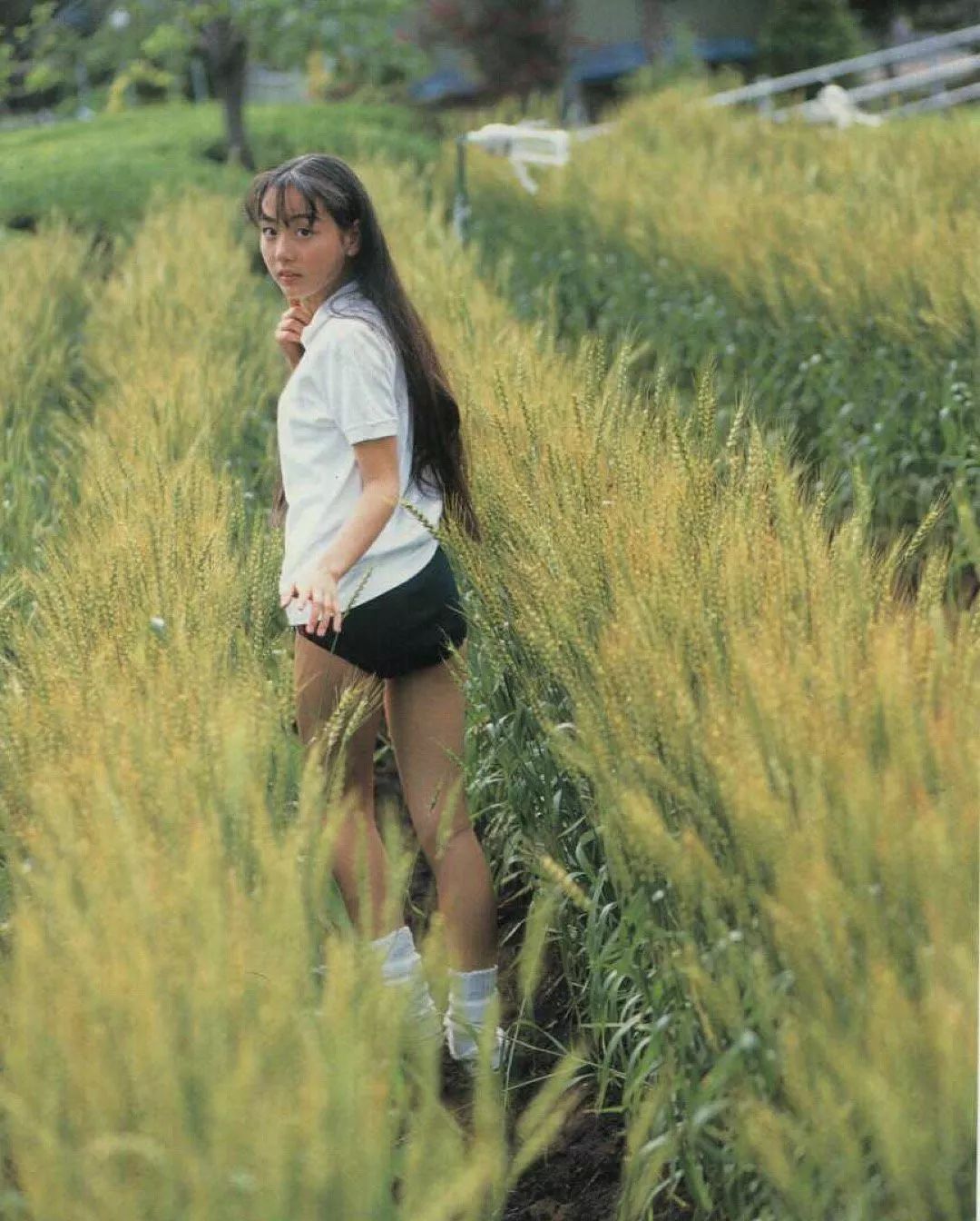 这 4 套经典日本少女写真，超！美！_奈良