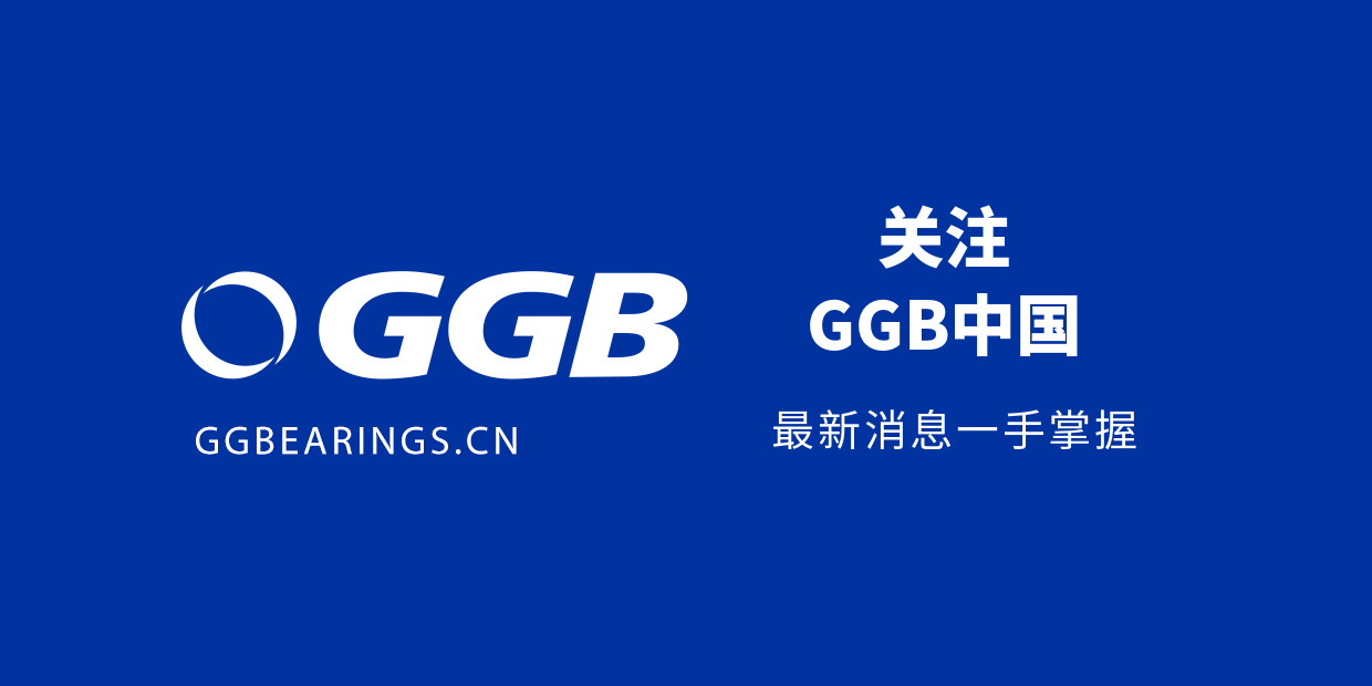 爱因斯坦与120岁的GGB_搜狐汽车_搜狐网