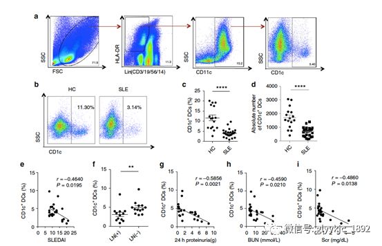 Nature Communications论著丨我院孙凌云教授团队发表间充质干细胞诱导CD1c+耐受性DCs治疗SLE的新机制_研究