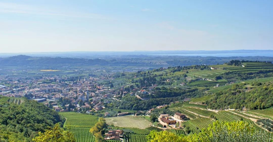 意大利最古老的葡萄酒产区——“维罗纳花园”_瓦尔波利切拉